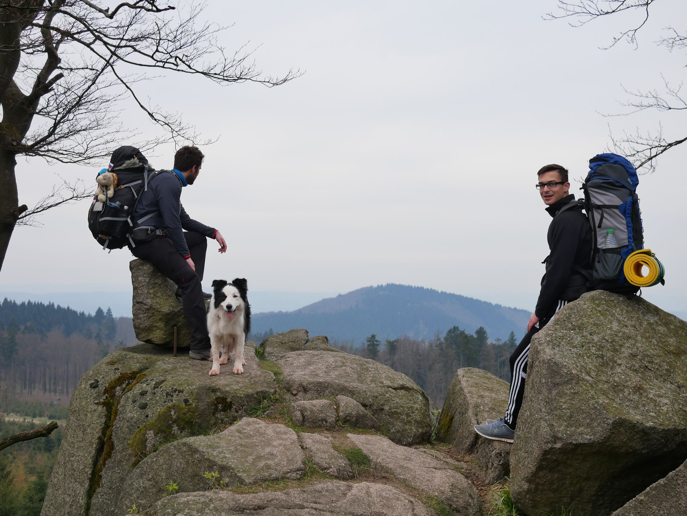 Der Rennsteig: Wandern auf dem ältesten Fernwanderweg Deutschlands